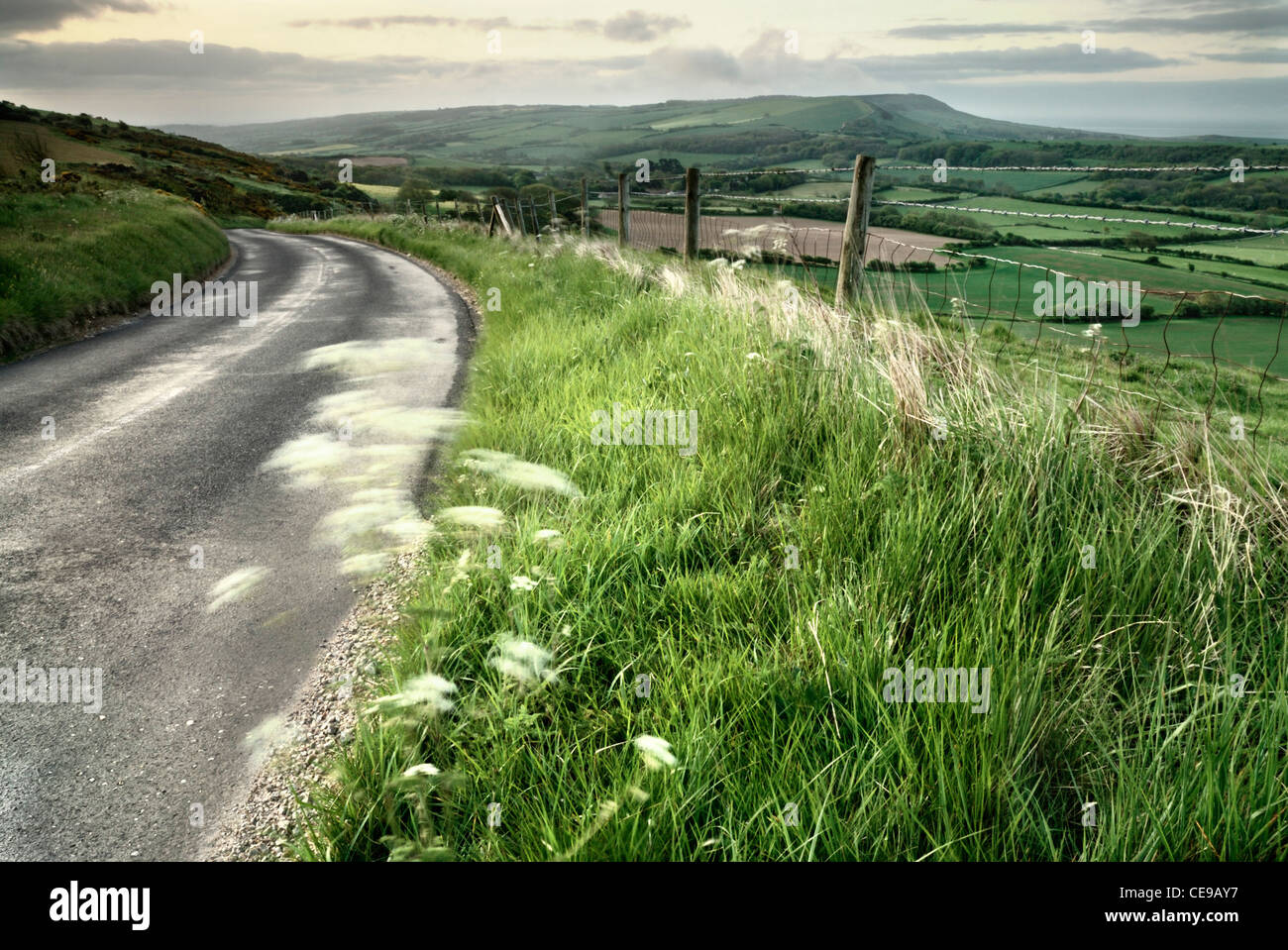 Isle of purbeck and sunrise hi-res stock photography and images - Alamy