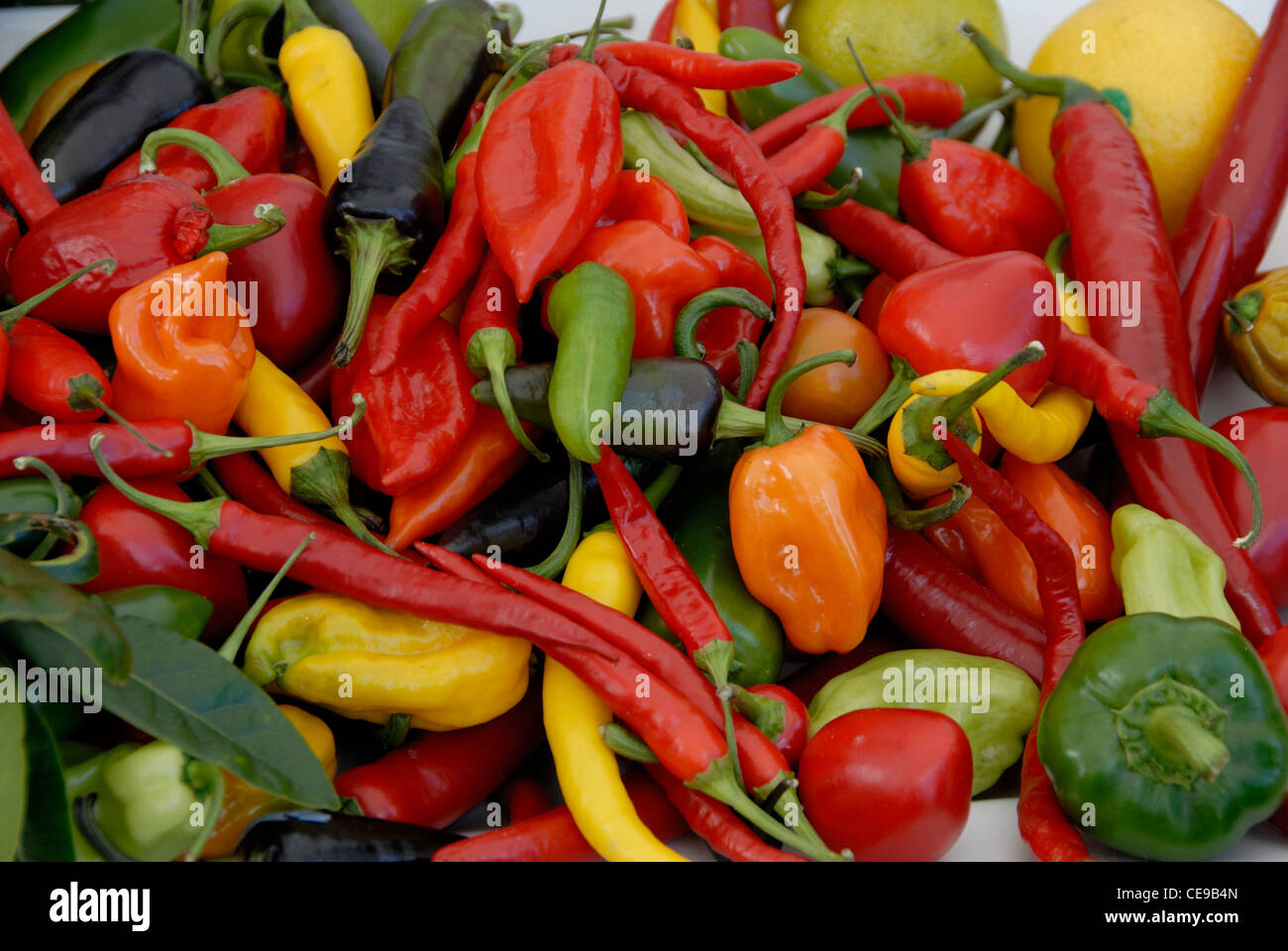 Mixed chili peppers Stock Photo - Alamy