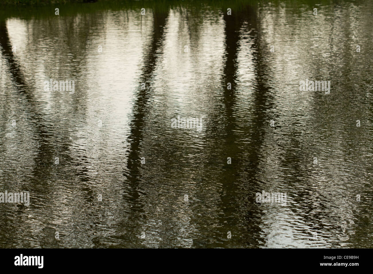 Trees reflection and ripples on the water Stock Photo - Alamy