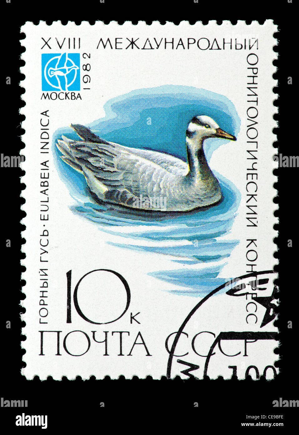 Postage stamp from the Soviet Union (USSR, Russia) depicting a Bar ...