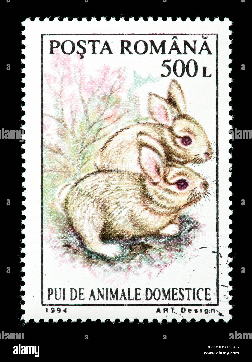 Postage stamp from Romania depicting domesticated rabbits Stock Photo ...