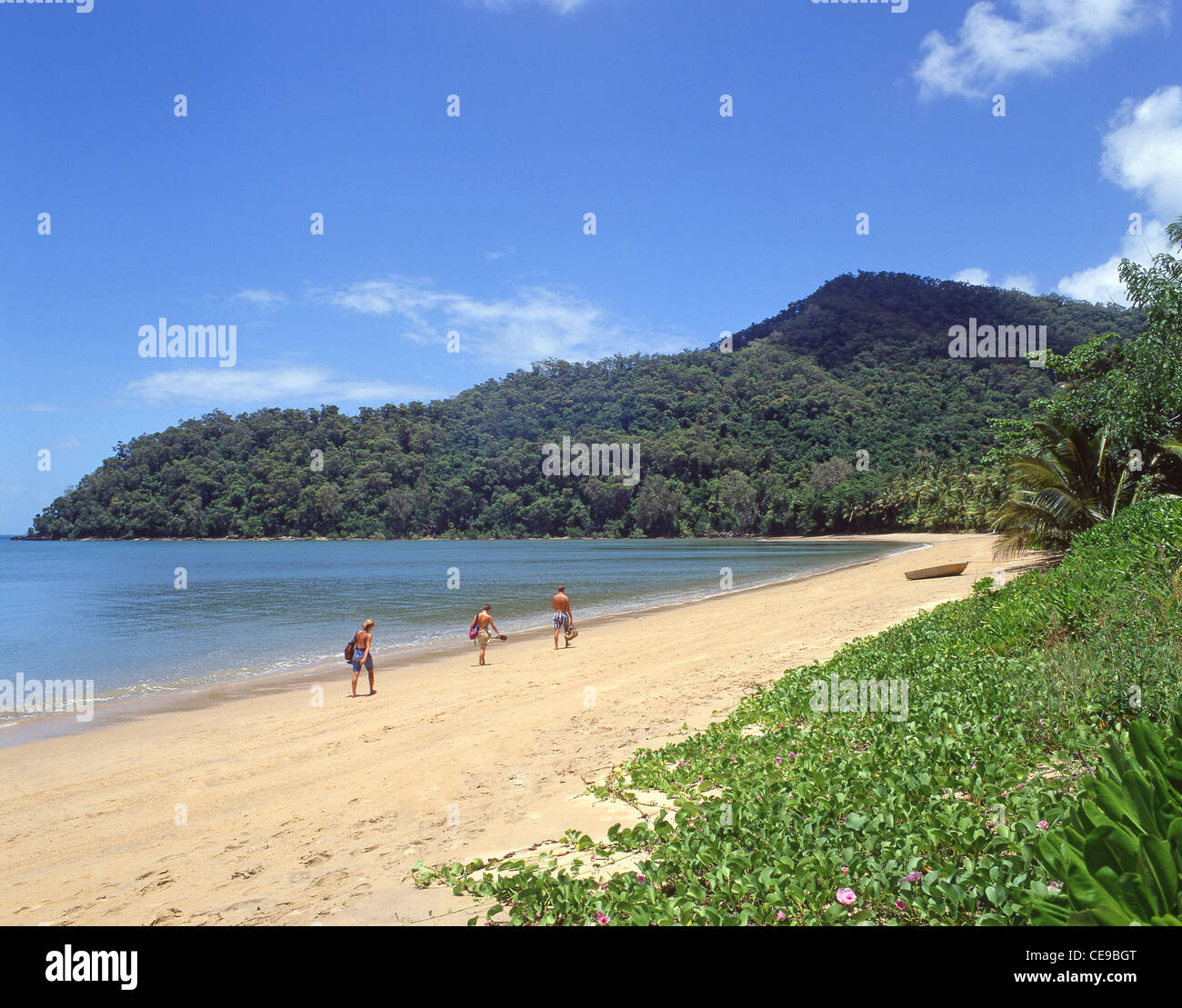 Beach view, Dunk Island, Great Barrier Reef Marine Park, Queensland ...