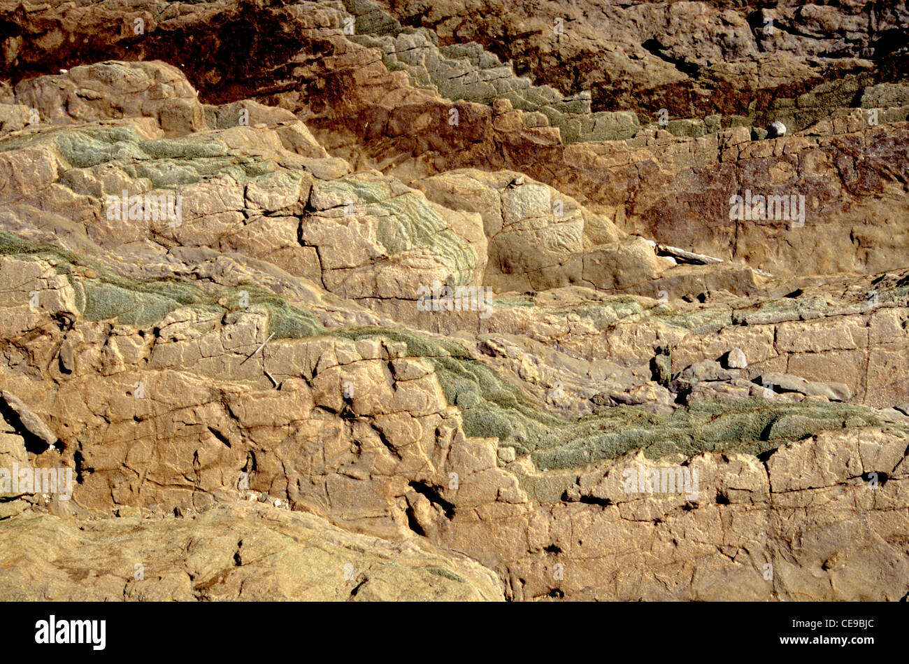 Bright Angel Shale in the Grand Canyon, Arizona, USA Stock Photo - Alamy