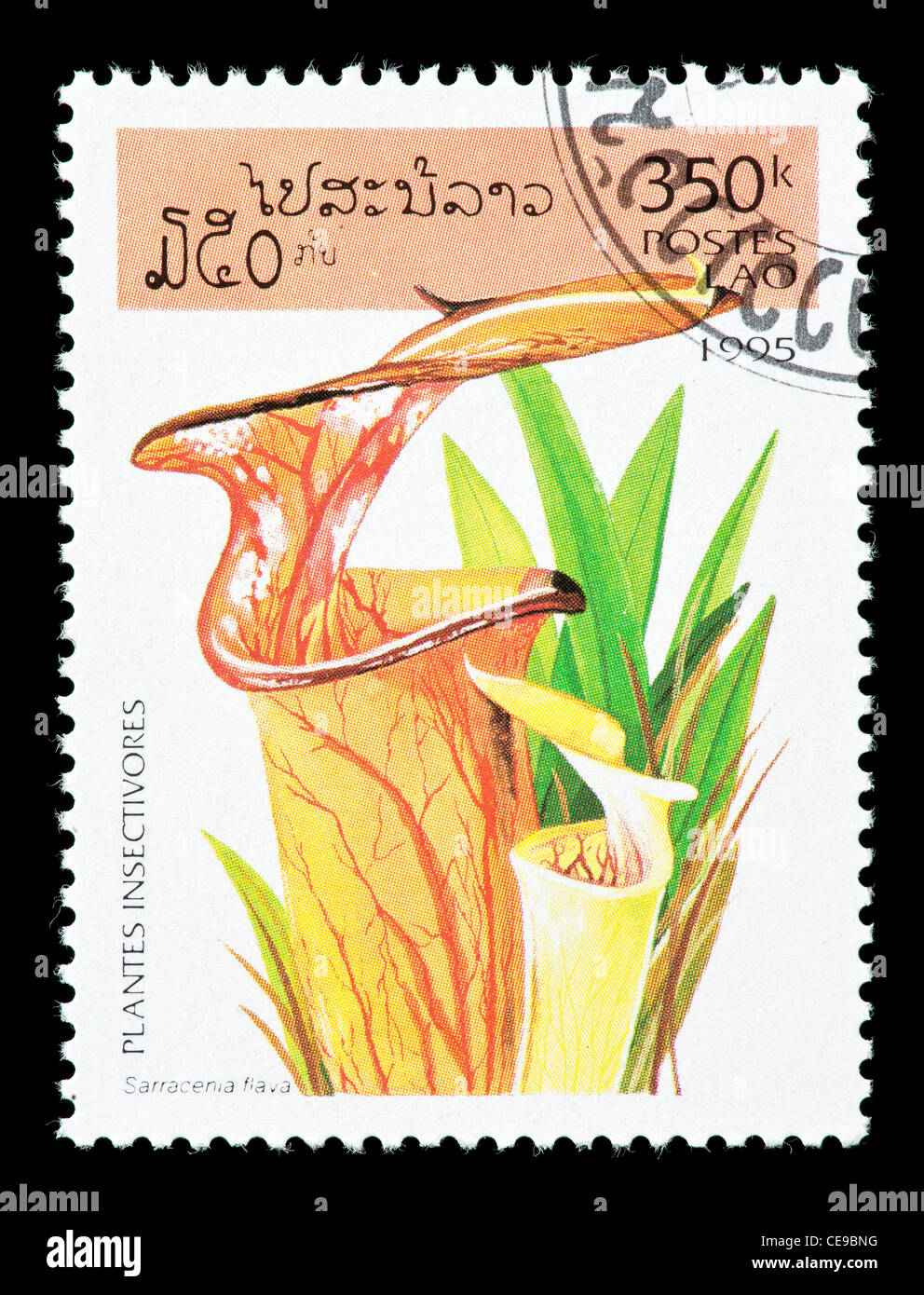 Postage stamp from Laos depicting a carnivorous pitcher plant ...