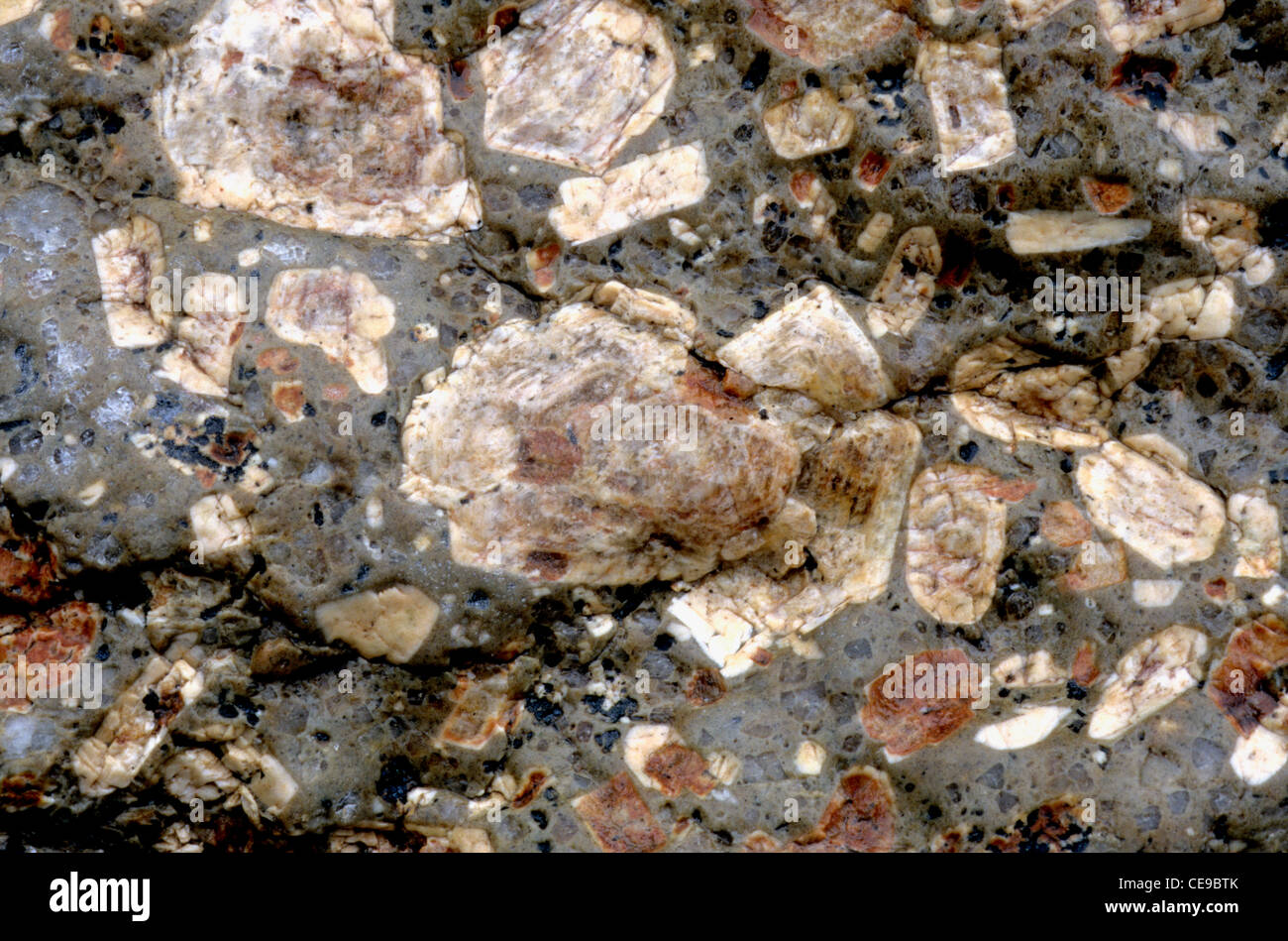 Euhedral zoned plagioclase phenocrysts with quartz and mafic minerals ...