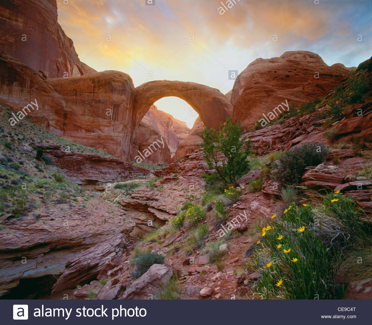 Rainbow Bridge Rainbow Bridge National Monument High Resolution Stock ...
