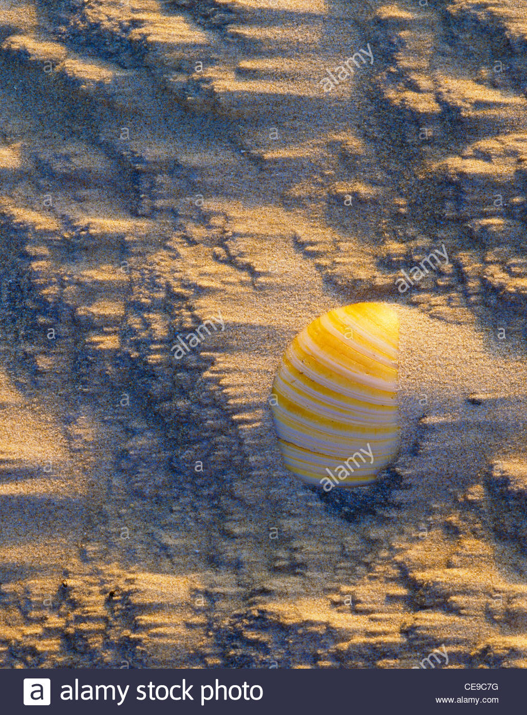 North Padre Island National Seashore High Resolution Stock Photography ...