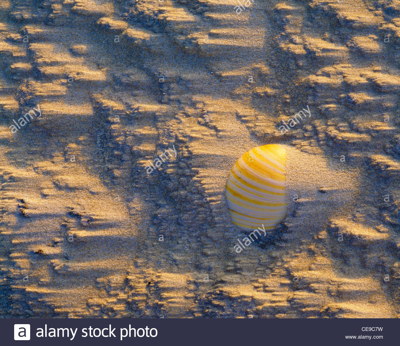 North Padre Island National Seashore High Resolution Stock Photography ...