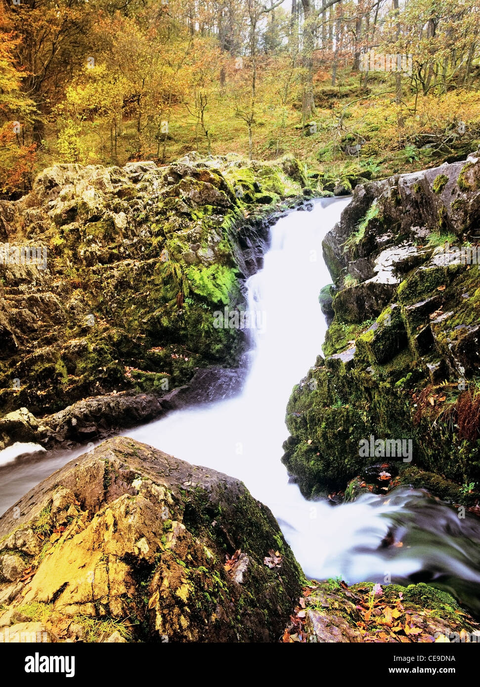 lake district national park cumbria england uk - waterfall and rapids ...