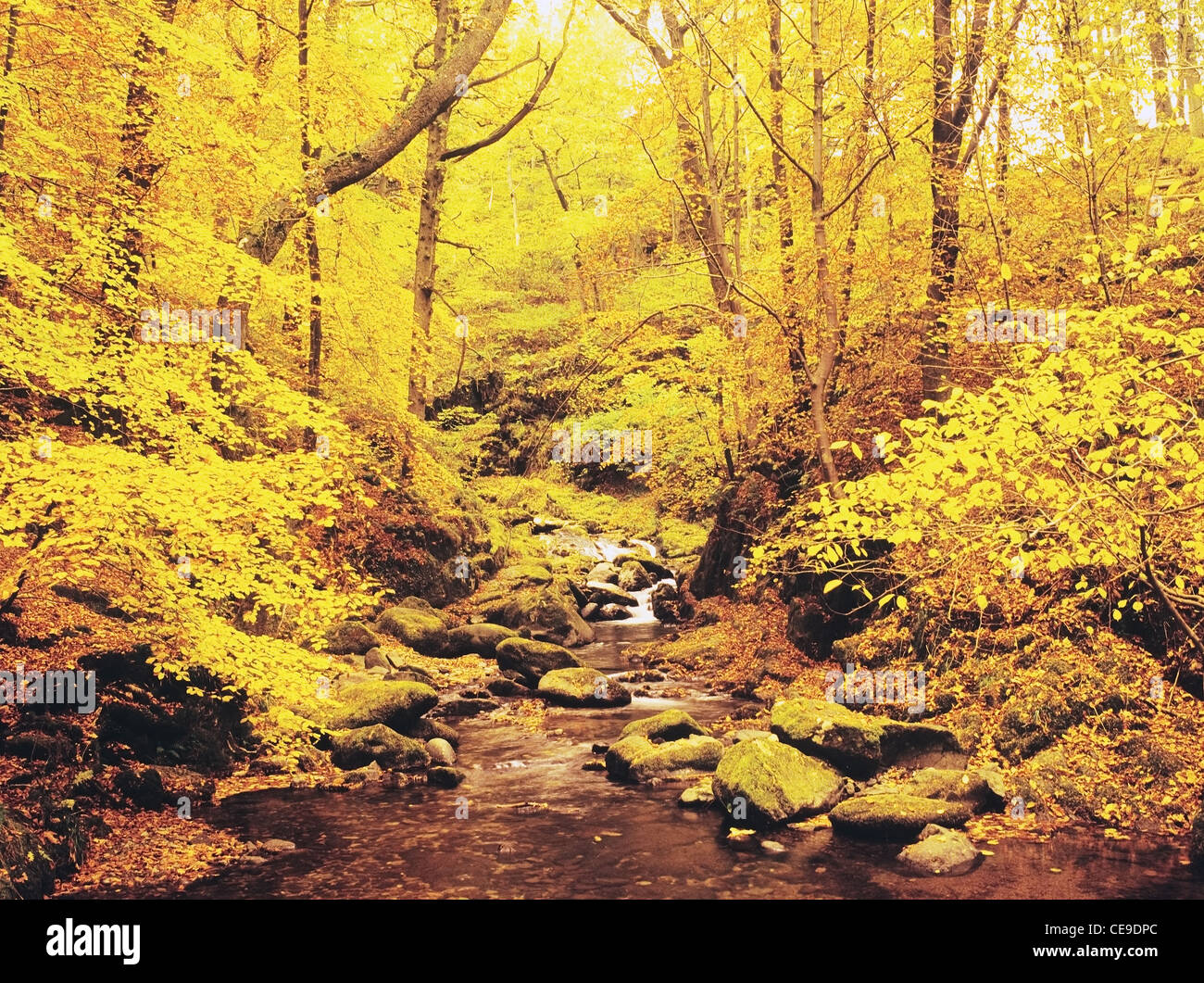 lake district national park cumbria england uk - waterfall and rapids ...
