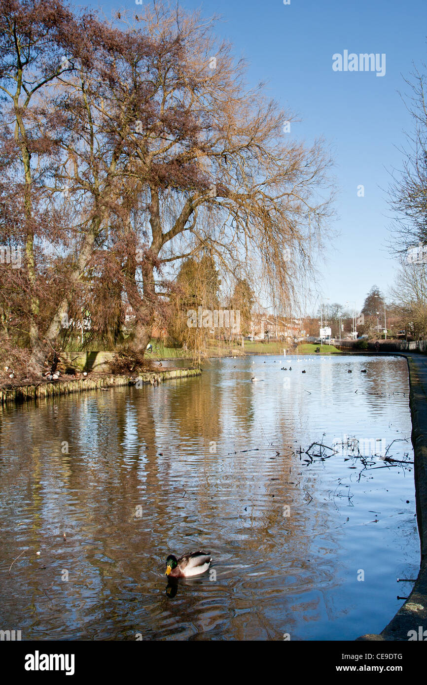 Scottowes hi-res stock photography and images - Alamy