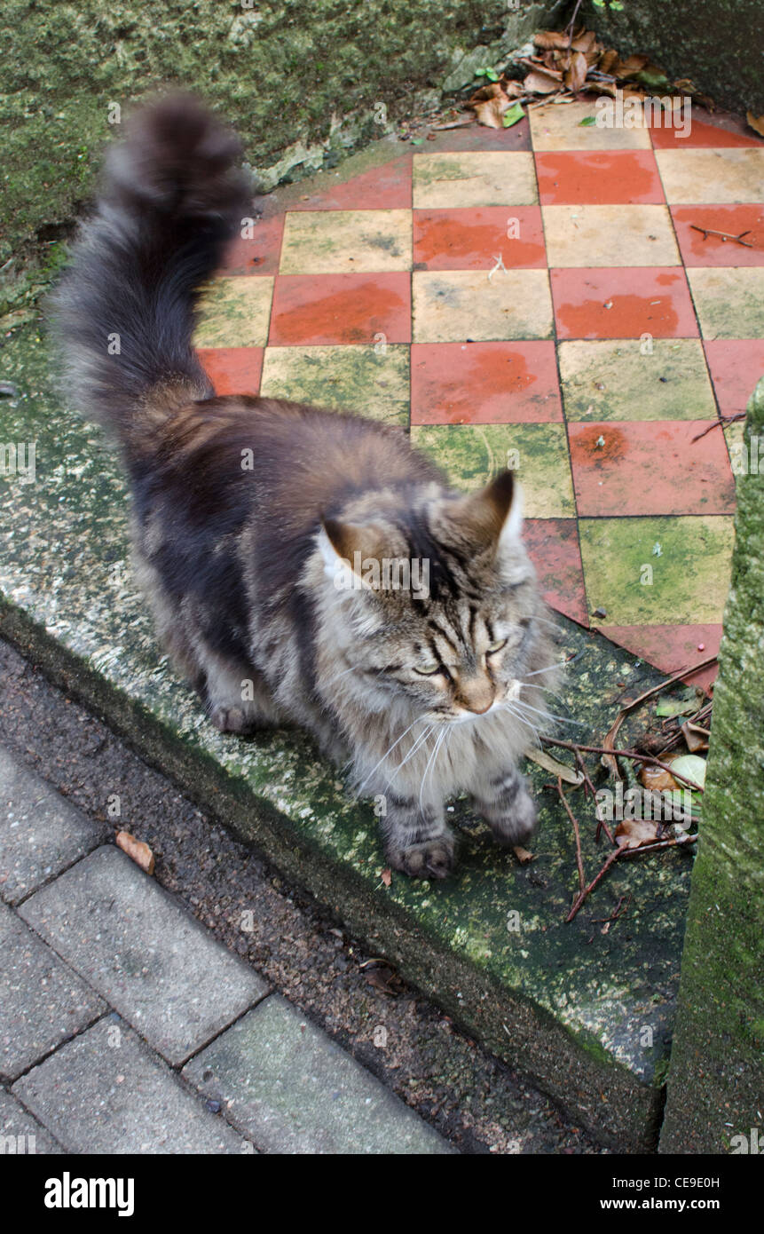Step marks hi-res stock photography and images - Alamy