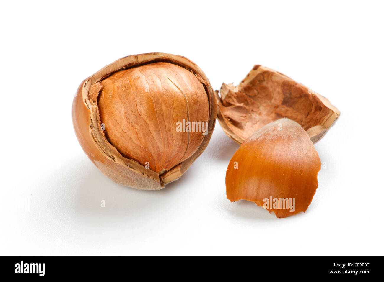 Filbert nut isolated on white background Stock Photo - Alamy