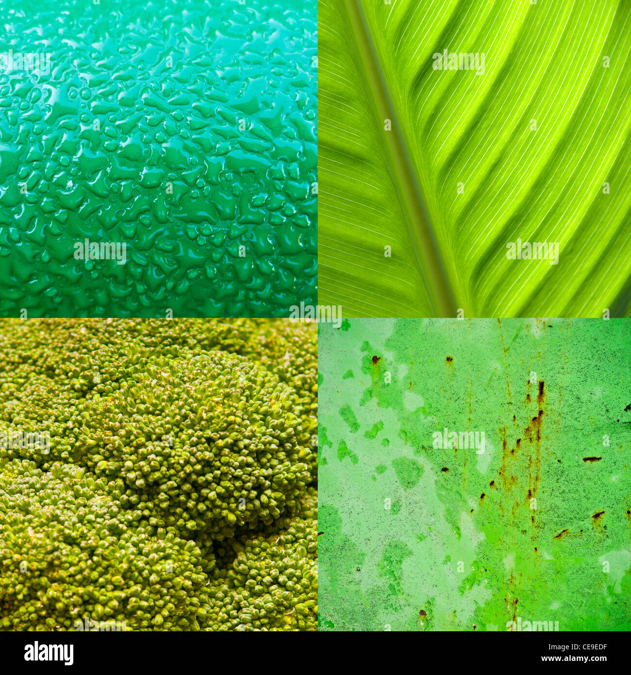 collage of green abstract texture backgrounds Stock Photo - Alamy