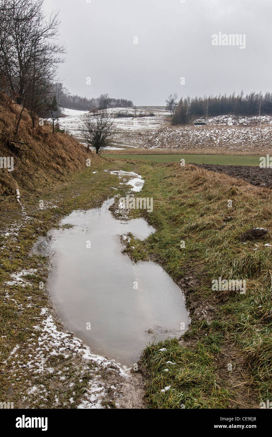 A frozen puddle Stock Photo - Alamy