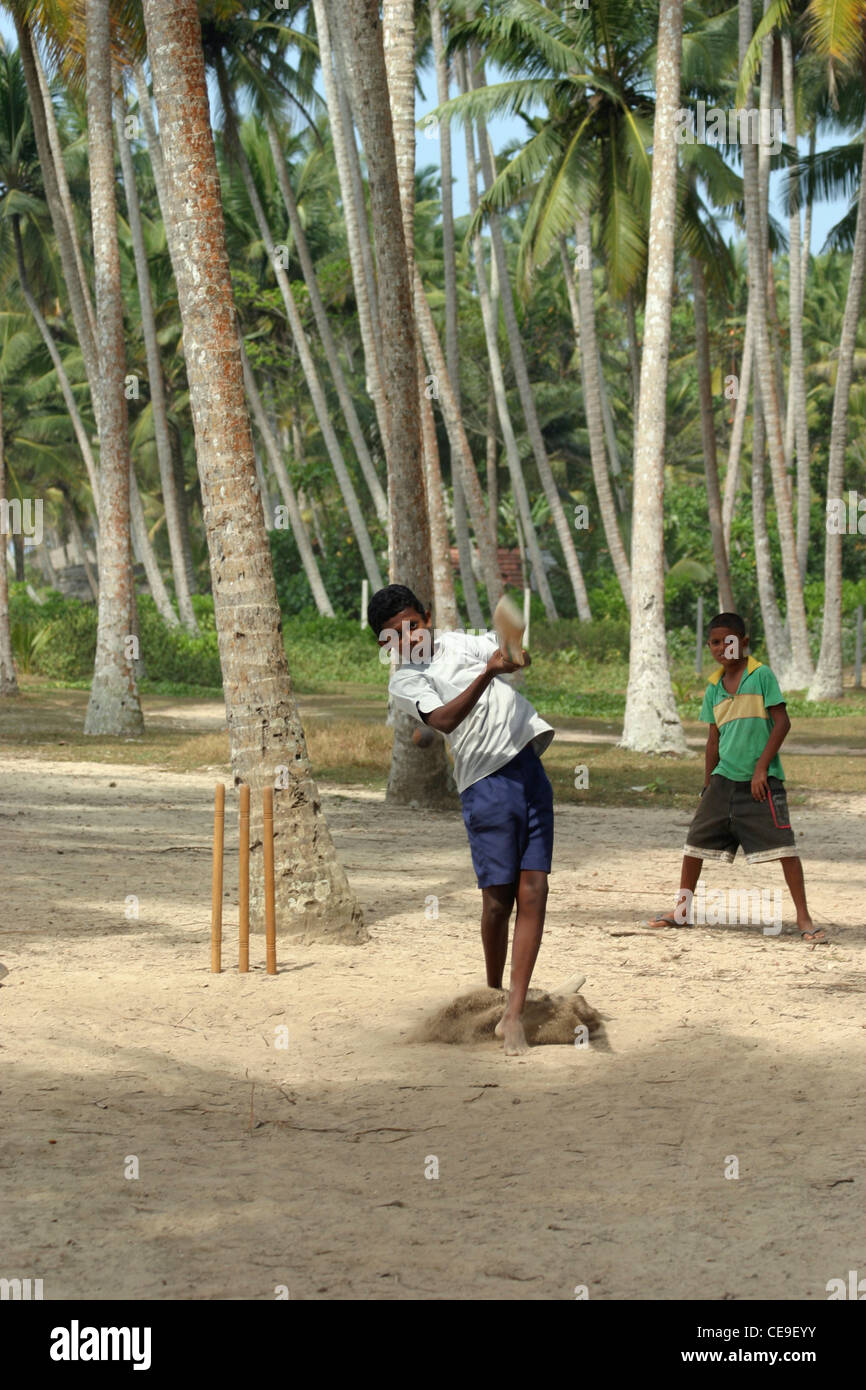 A group of young children play cricket under the shade of palm trees in ...