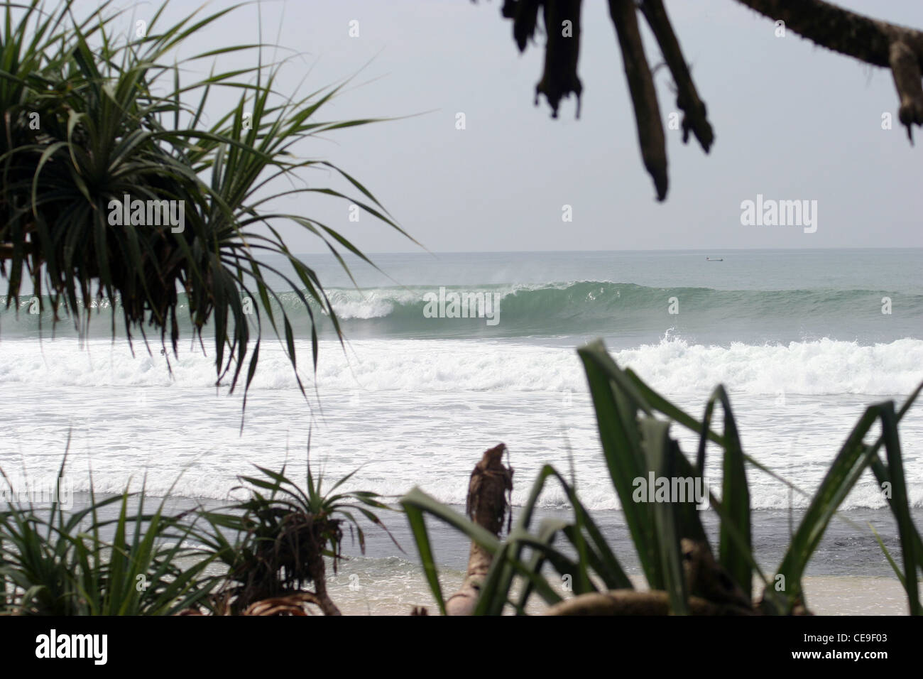 Sri lanka wave hi-res stock photography and images - Alamy