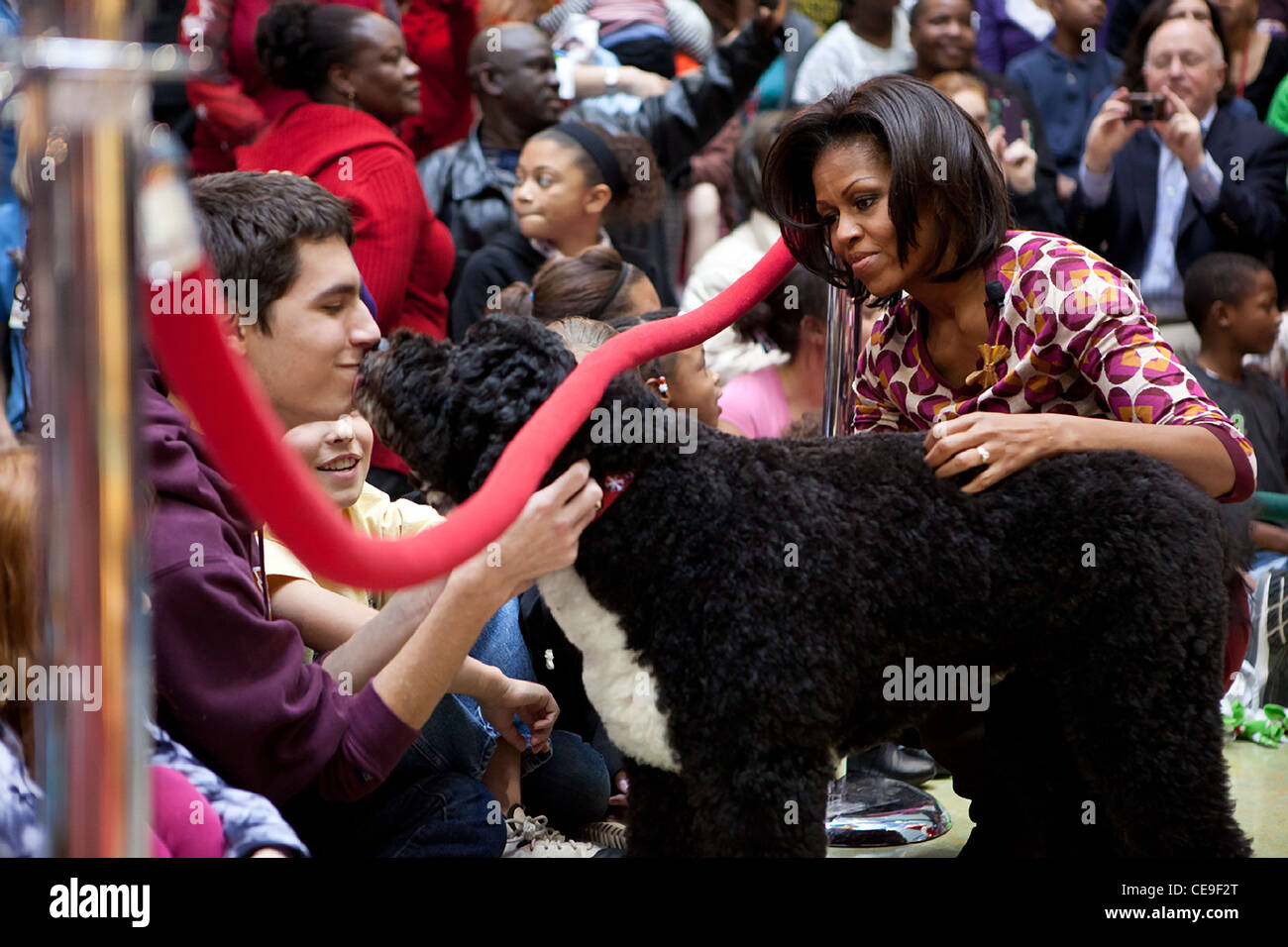 Bo dog obama hi-res stock photography and images - Alamy