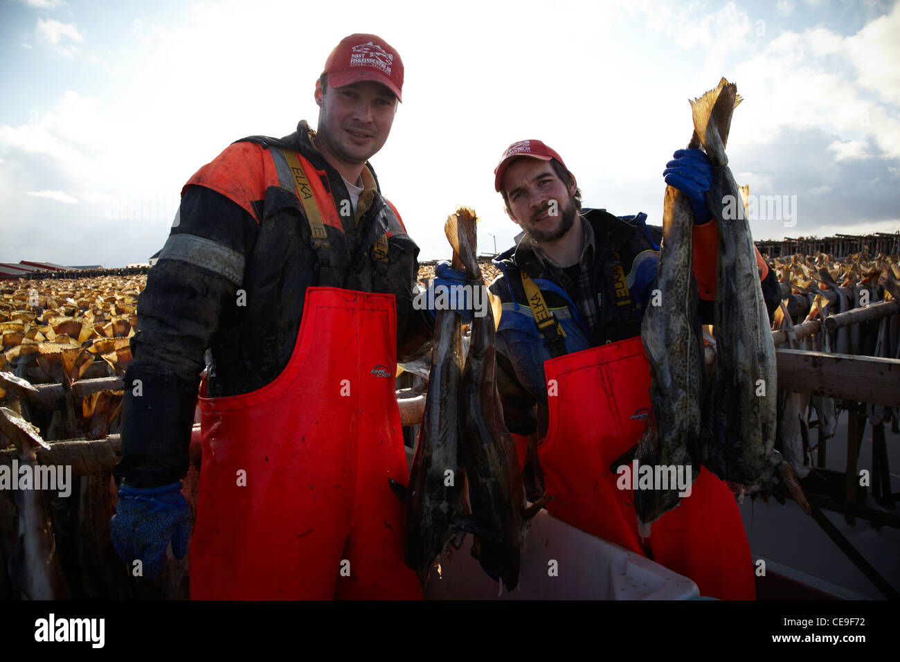Workers on fish factory at Røst island, Norway Stock Photo - Alamy