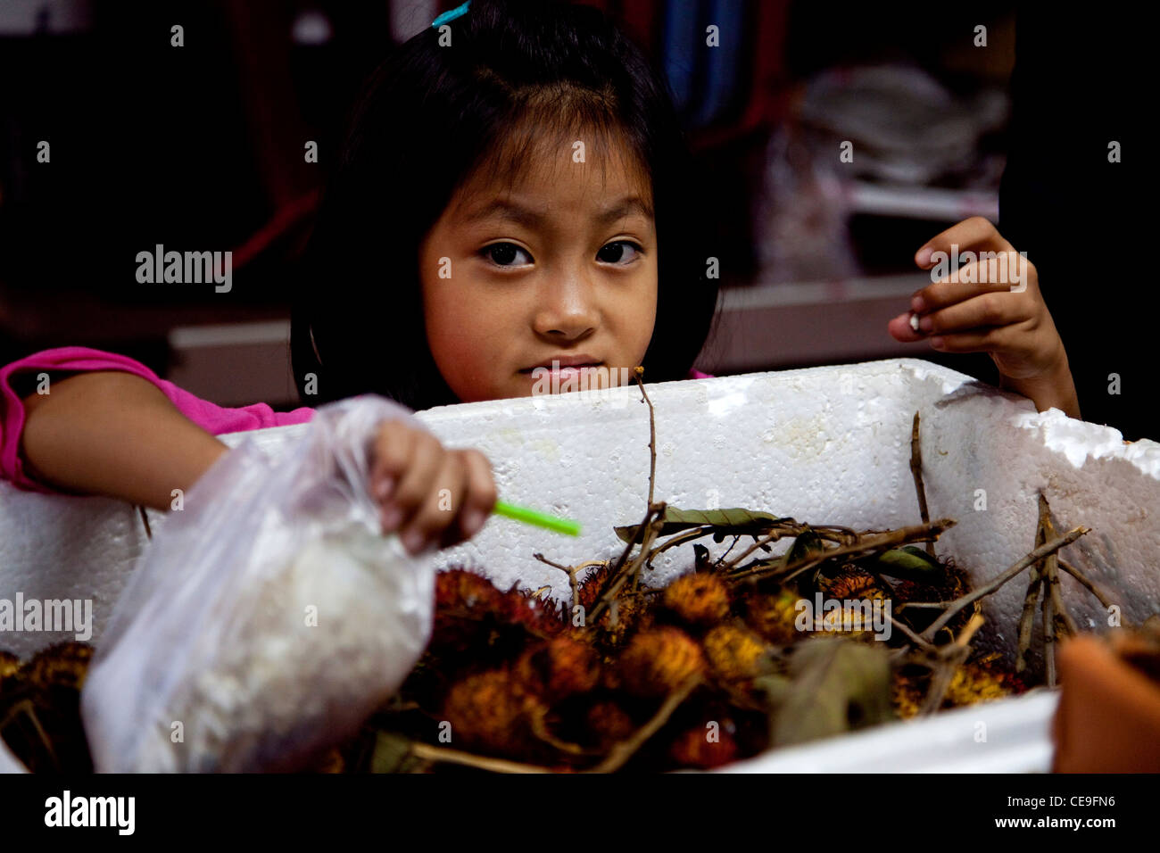 Little girl and fruit, Russian market, Phnom Penh, Cambodia, Asia Stock ... Little girl and fruit, Russian market, Phnom Penh, Cambodia, Asia Stock ...