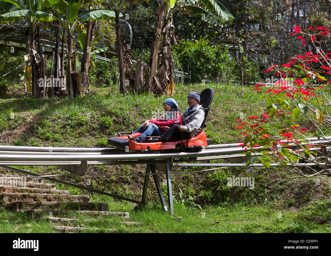 Go cart hi-res stock photography and images - Alamy