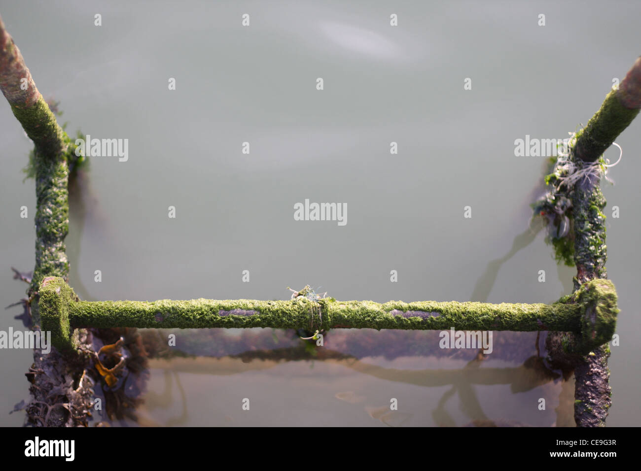 Top rung of ladder hi-res stock photography and images - Alamy