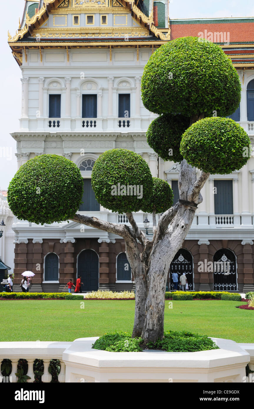 Topiary tree hi-res stock photography and images - Alamy