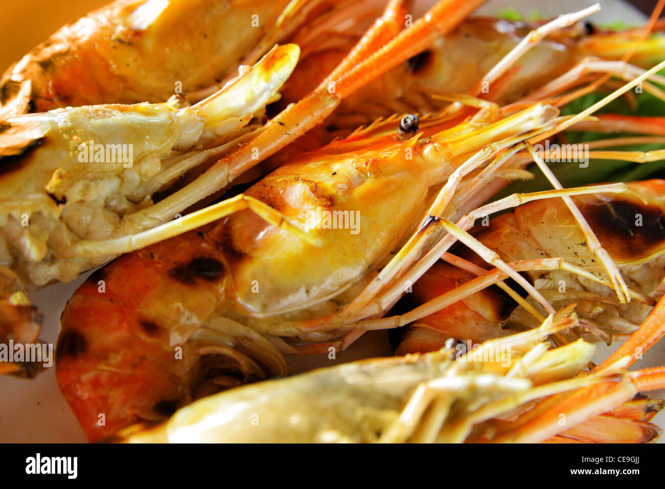 Big head shrimp hi-res stock photography and images - Alamy
