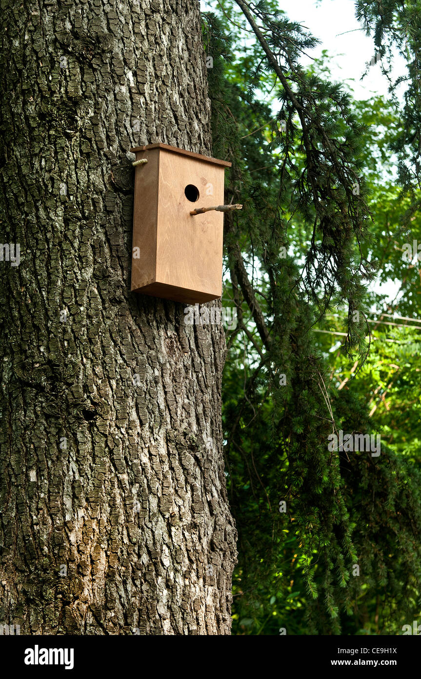 Nest protection hi-res stock photography and images - Alamy
