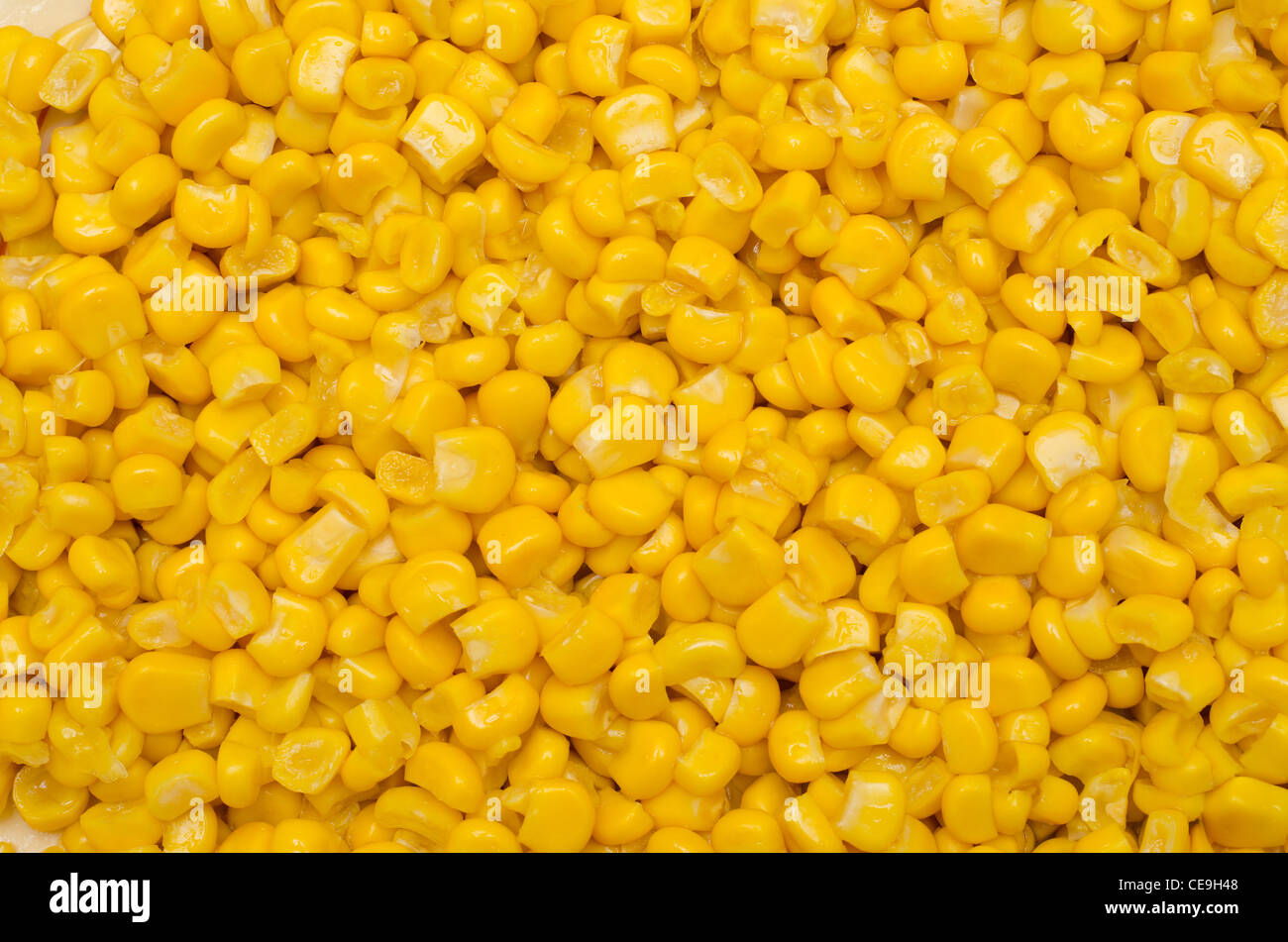 sweet corn background Stock Photo - Alamy