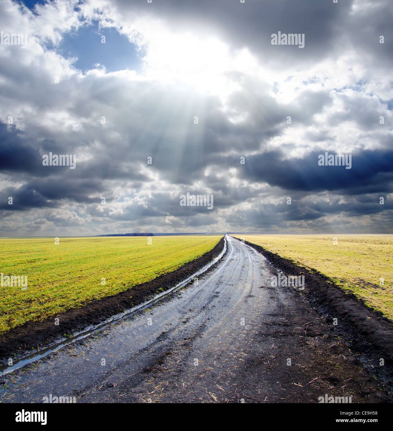 Wet country road under hi-res stock photography and images - Alamy