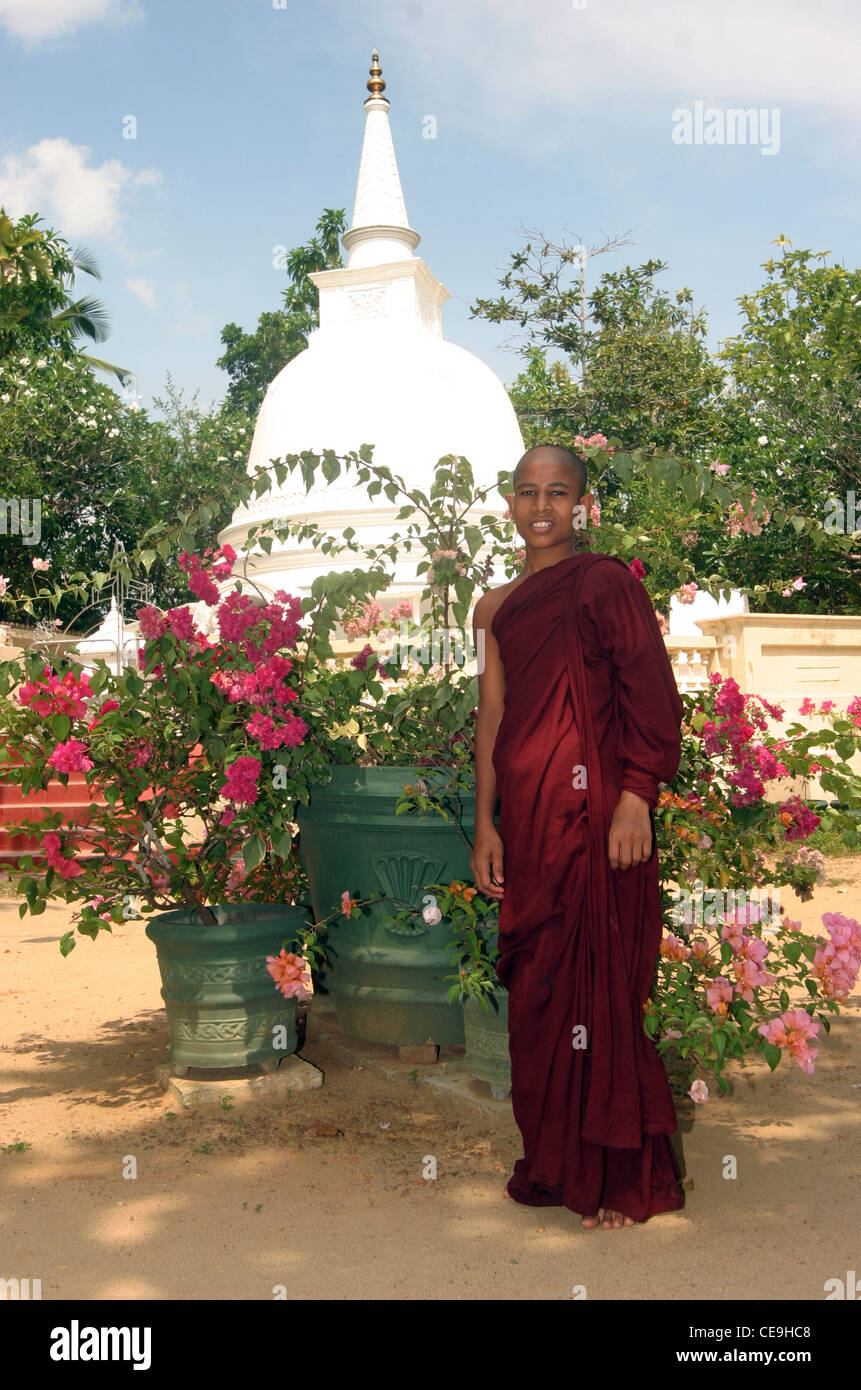 A young Buddhist Monk dressed in traditional red robes stands infront ...