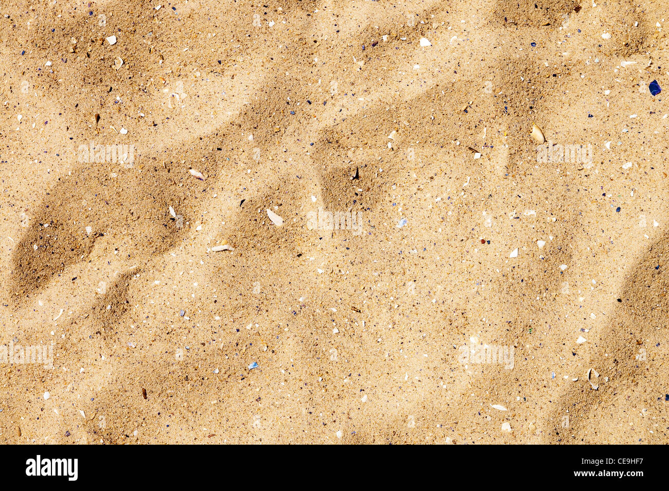 sand closeup as texture Stock Photo - Alamy