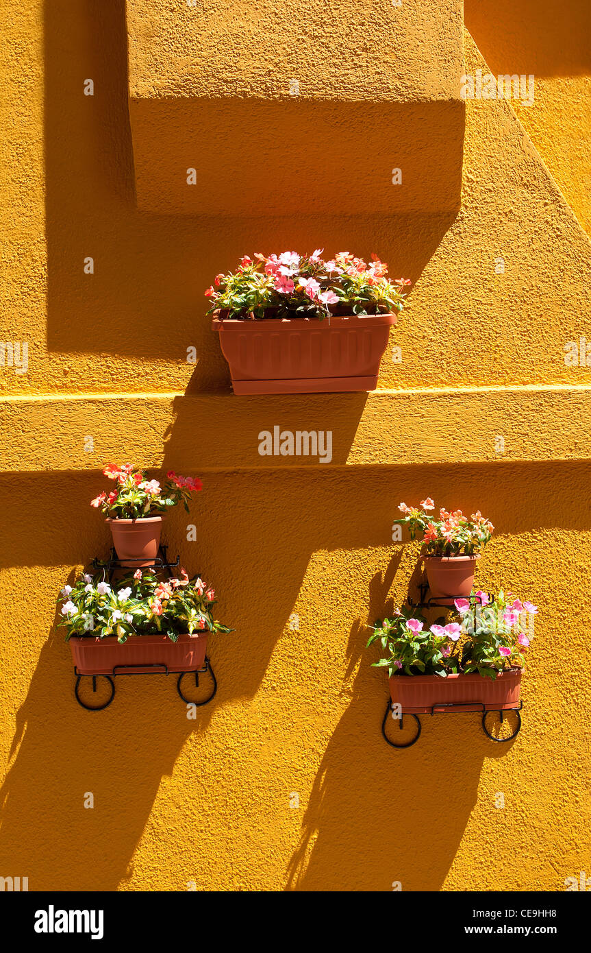 three flowers pots in a wall Stock Photo - Alamy
