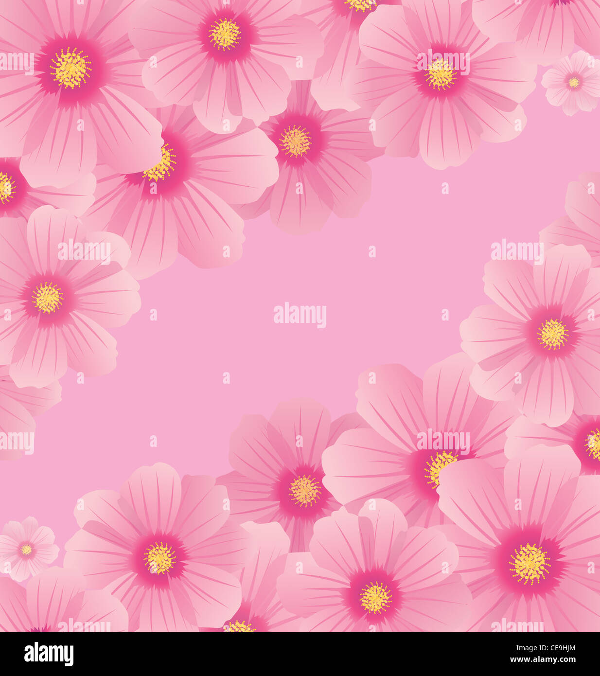pink cosmos flowers borders and corners vector Stock Photo - Alamy