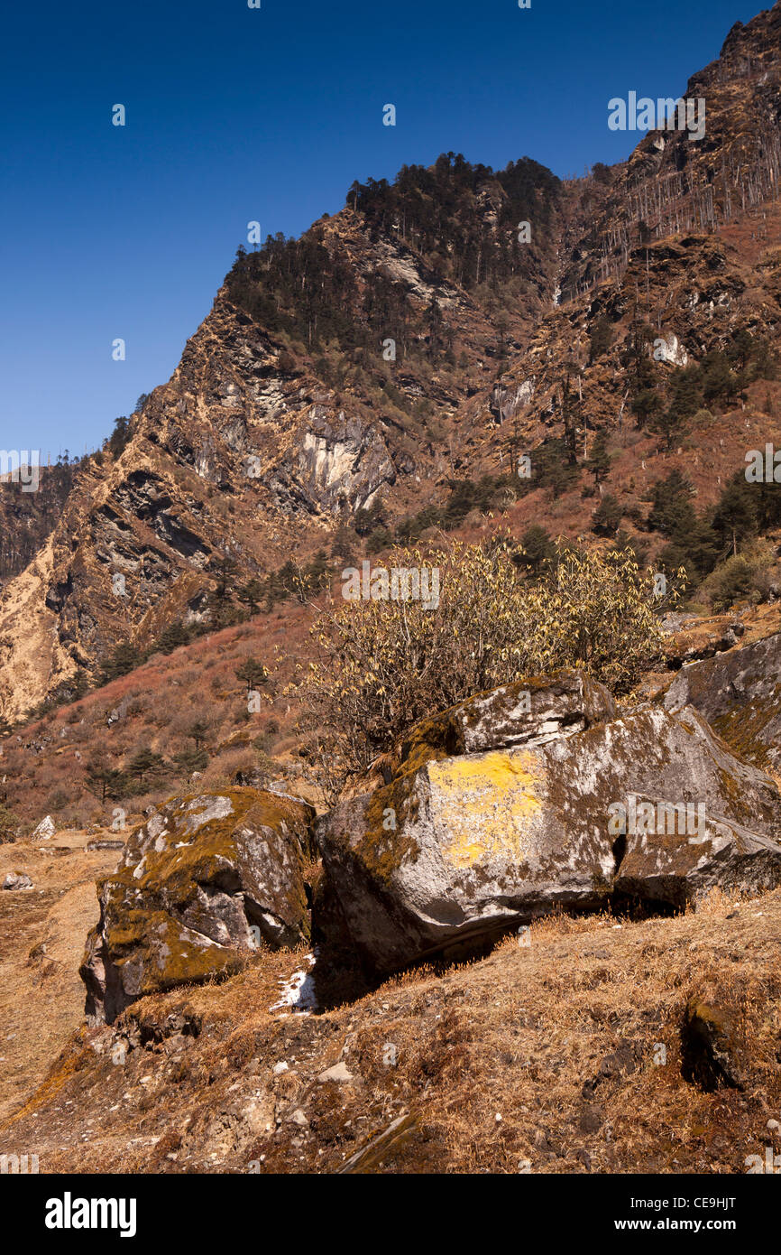 India, Arunachal Pradesh, Tawang Sela, rocky valley in tree line Stock ...