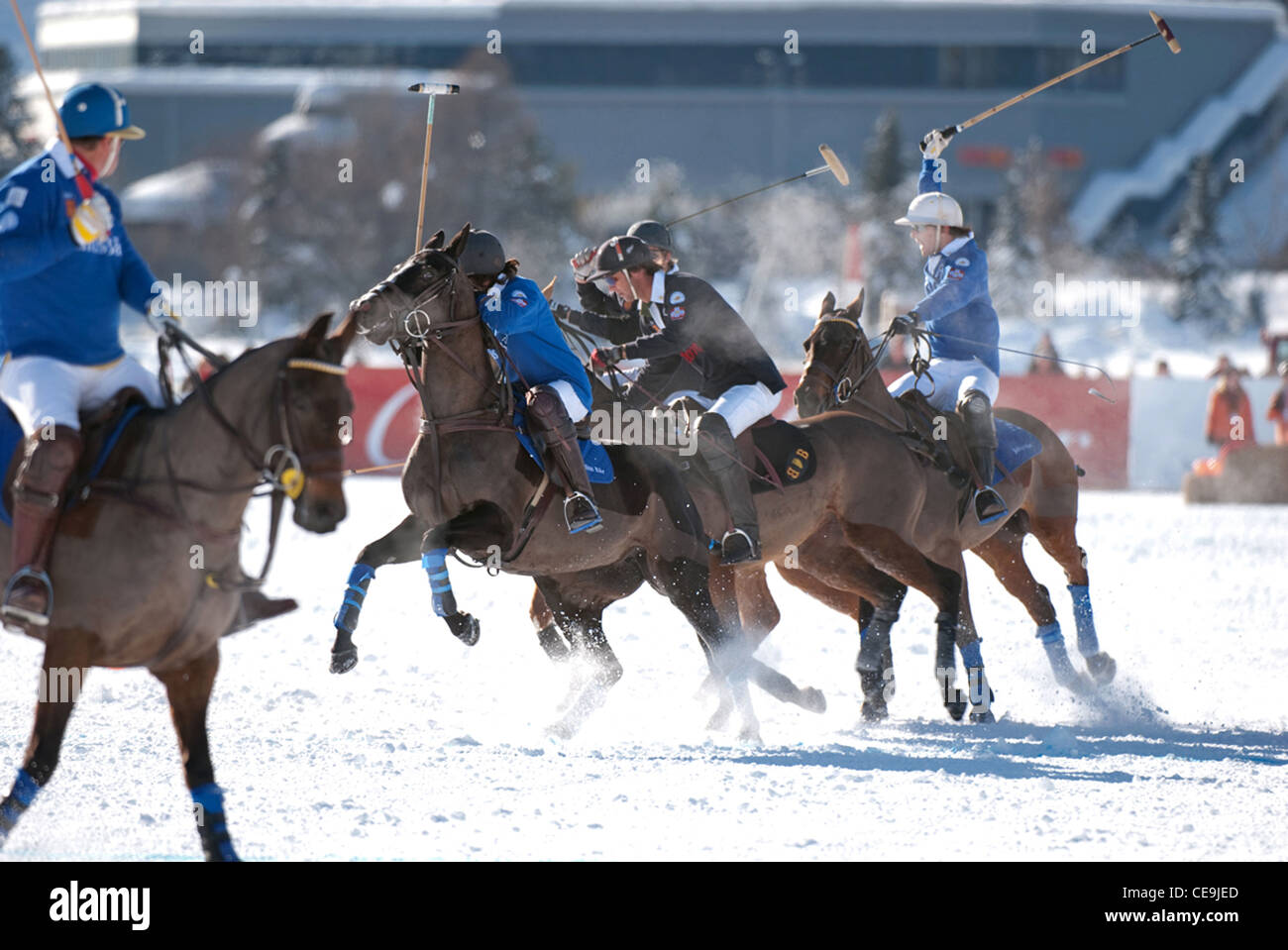 St moritz polo hi-res stock photography and images - Alamy