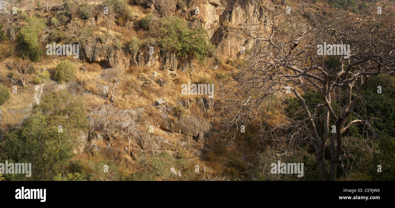 Rugged cliffs and scrubland forest near Kumbhalgarh Fort in Rajasthan ...