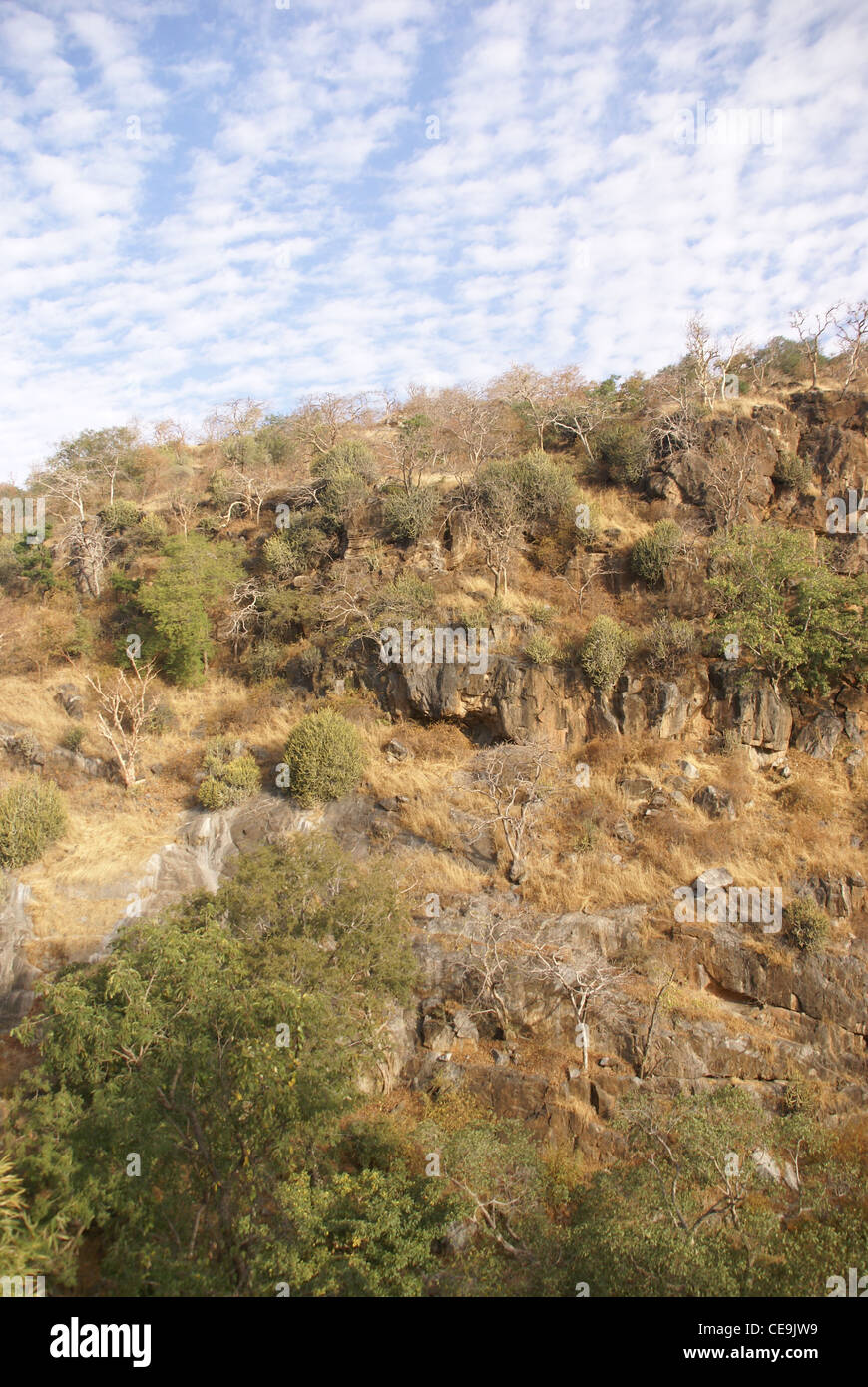 Rugged cliffs and scrubland forest near Kumbhalgarh Fort in Rajasthan ...