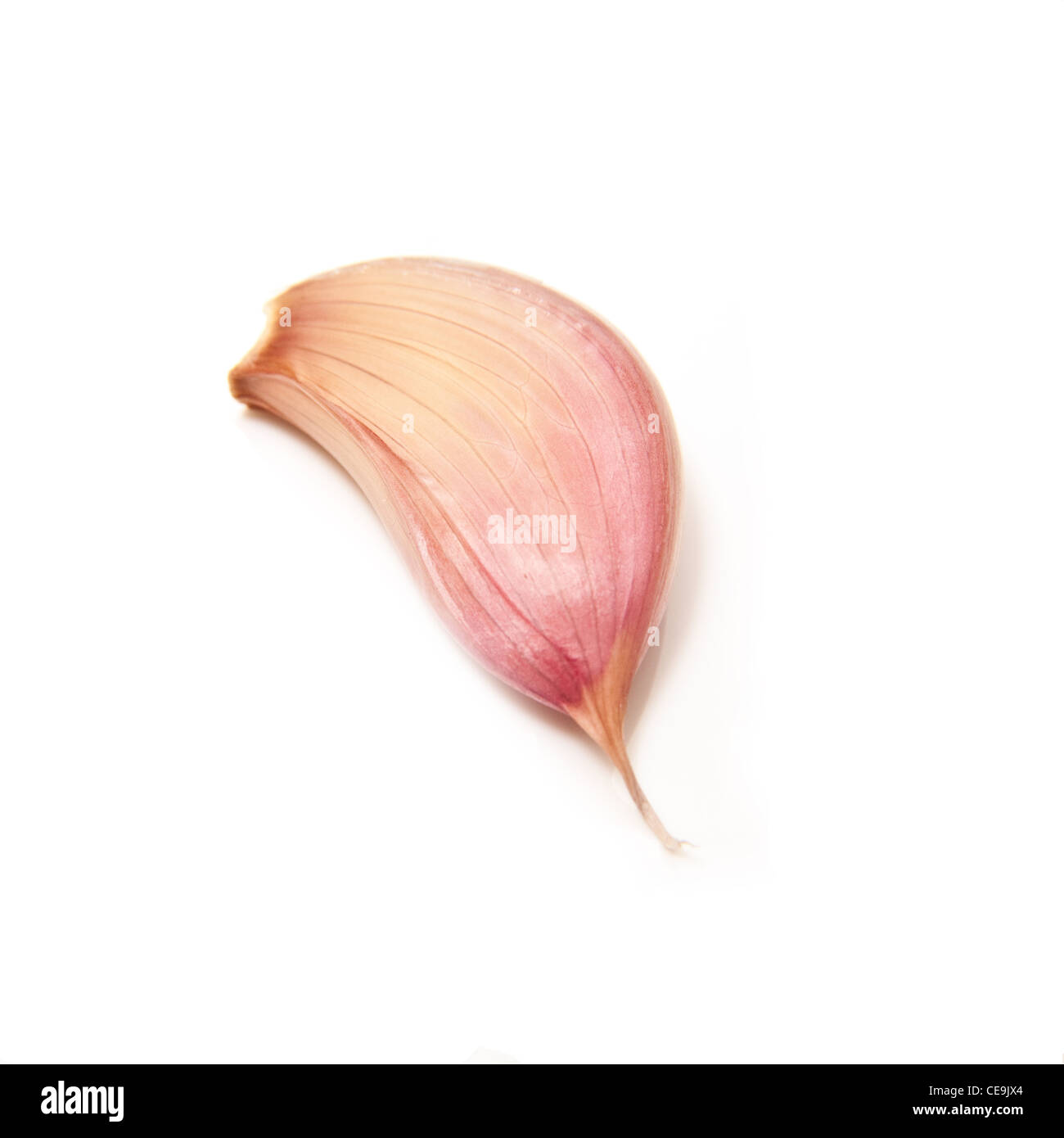 French pink or rose garlic isolated on a white studio background Stock ...