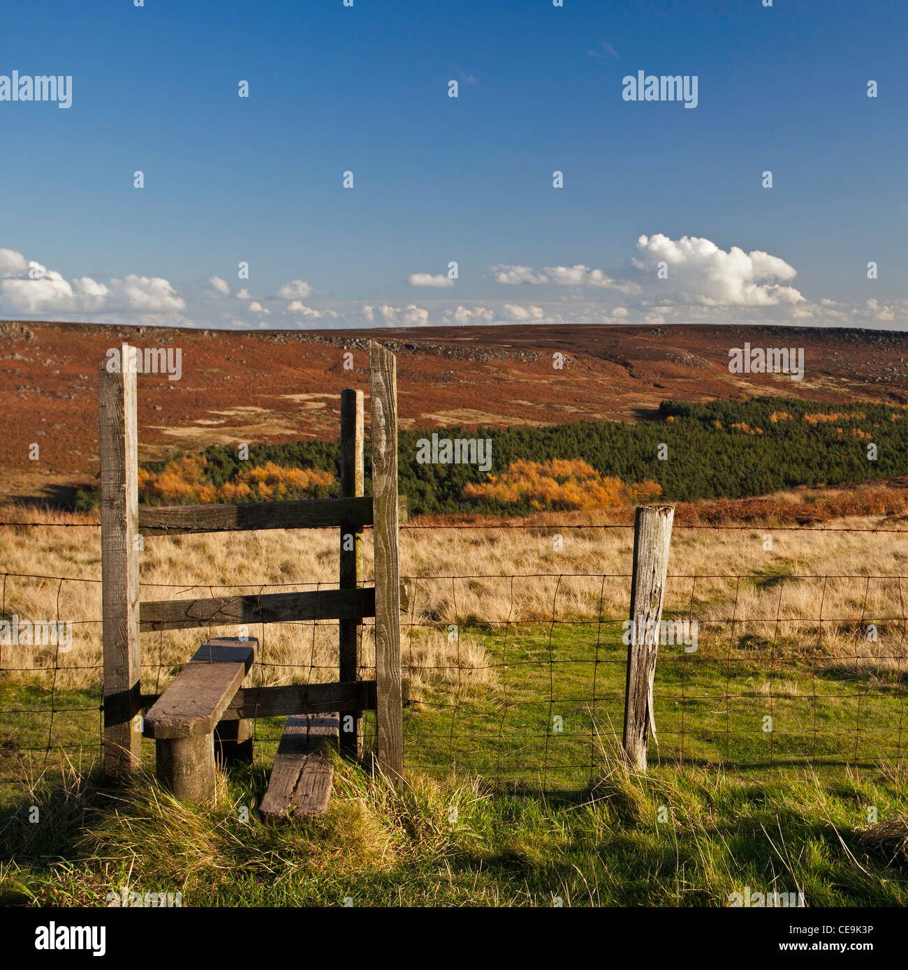 Step stile hi-res stock photography and images - Alamy