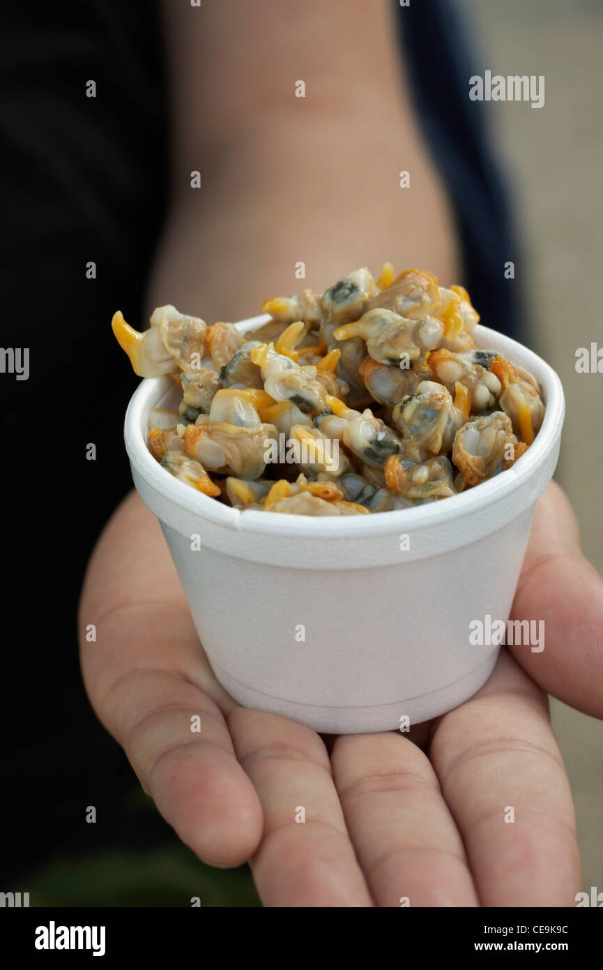 Cockles hi-res stock photography and images - Alamy