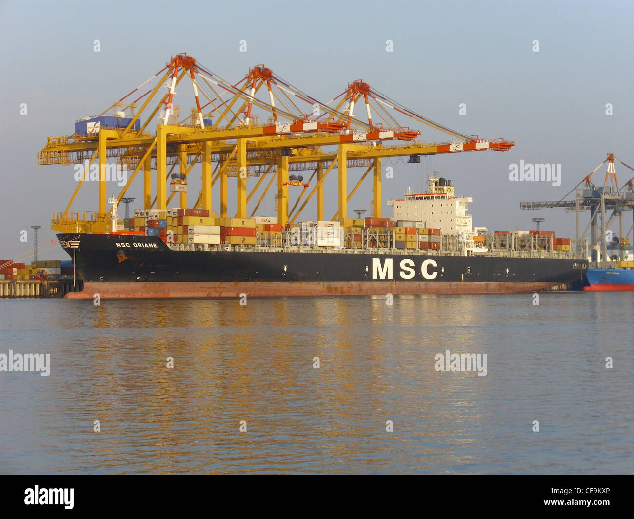 The MSC Oriane is a large container ship, crucial for transporting ...