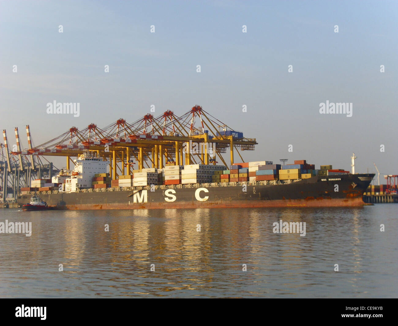 container ship MSC Romanos Stock Photo - Alamy