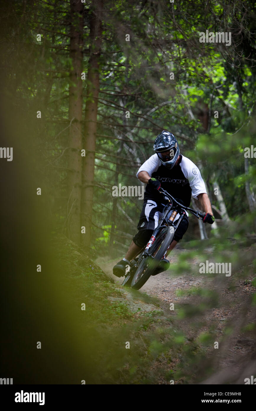 Mountainbiker riding downhill in the forest trails of Lauterbrunnen ...
