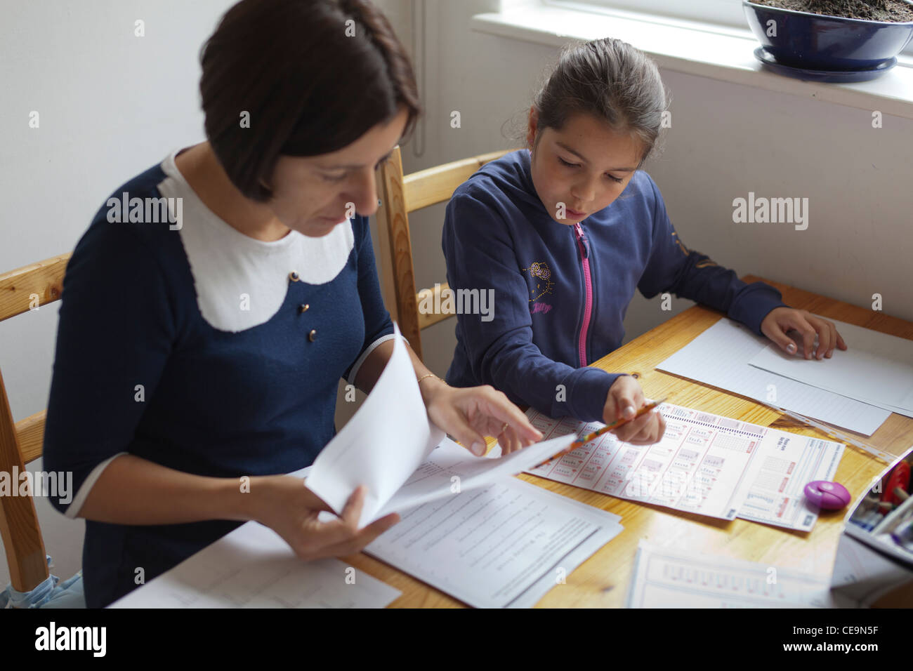 Tutor teaching private lessons to a young child Stock Photo - Alamy