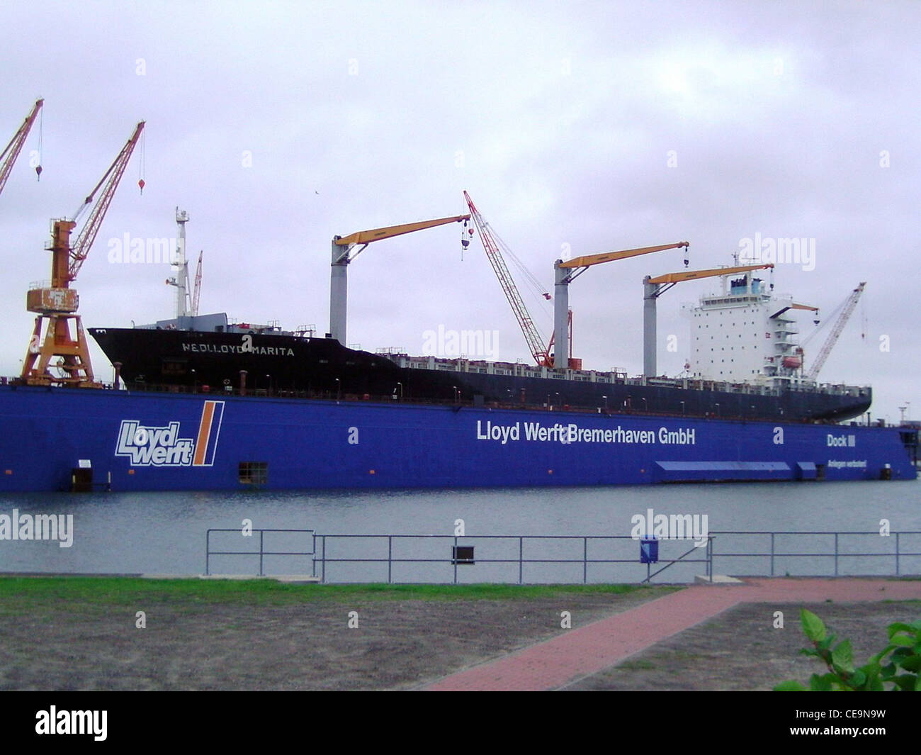The container ship Nedlloyd Marita is docked in the floating drydock at ...