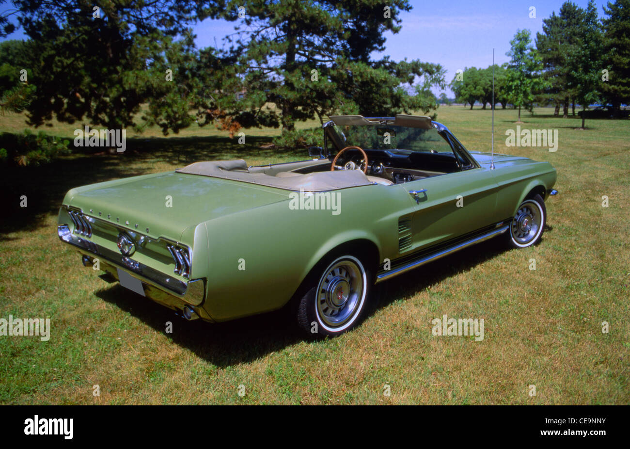 1967 mustang hi-res stock photography and images - Alamy