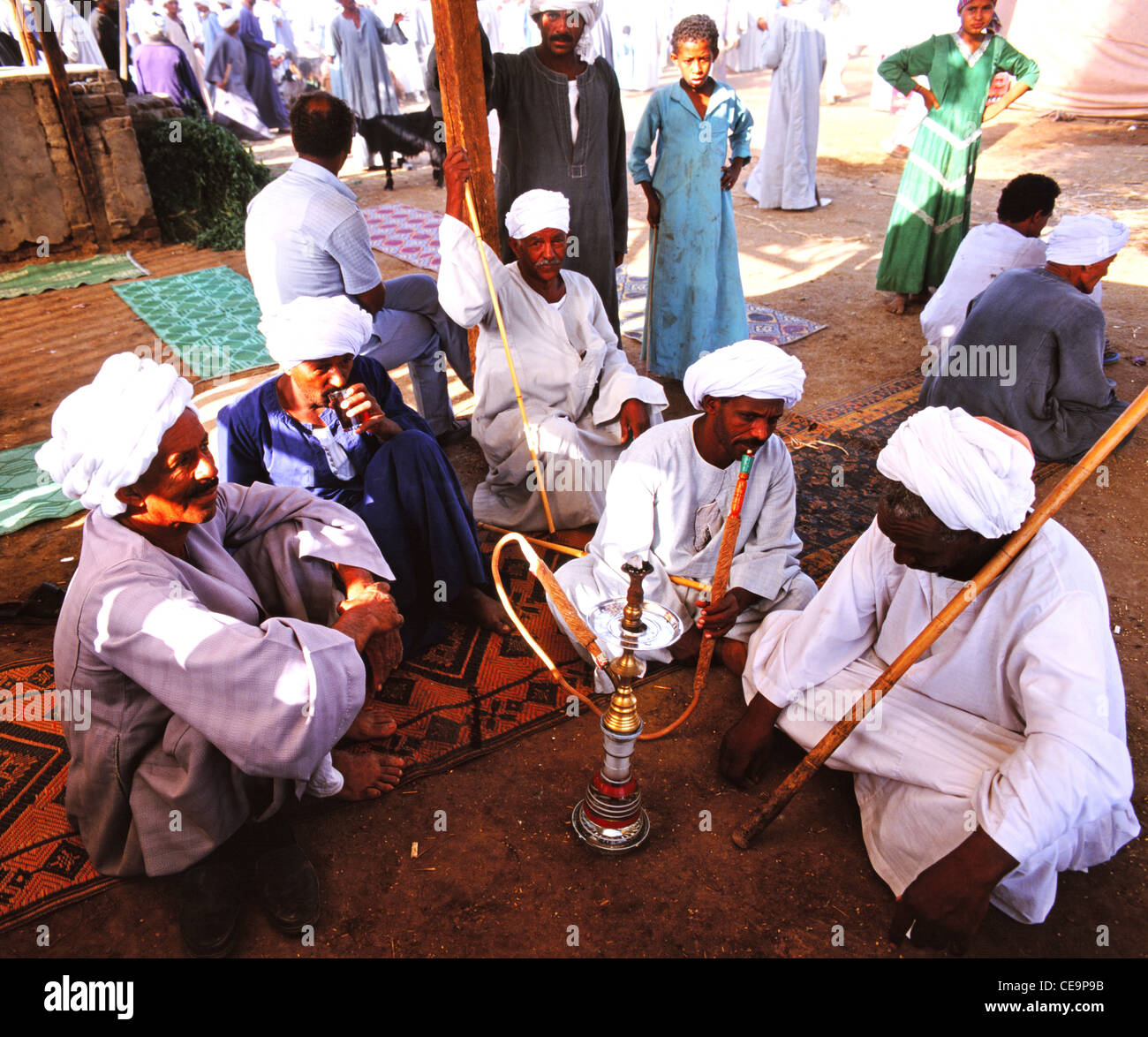 A Group of Egyptian men smoking a sheesha/shisha pipe, Aswan, Egypt ...