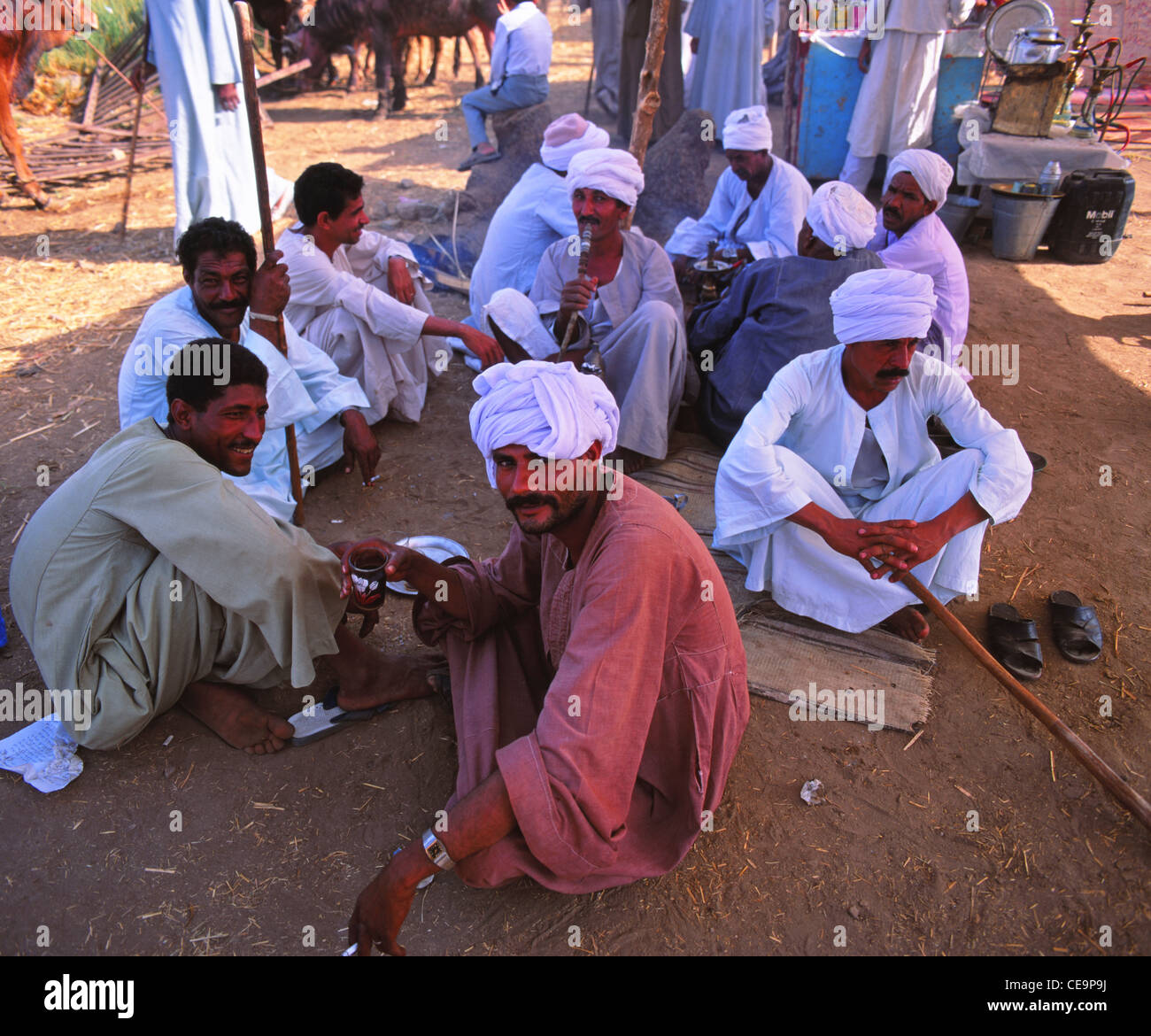 A group of Egyptian men smoking a sheesha/shisha pipe and drinking tea ...